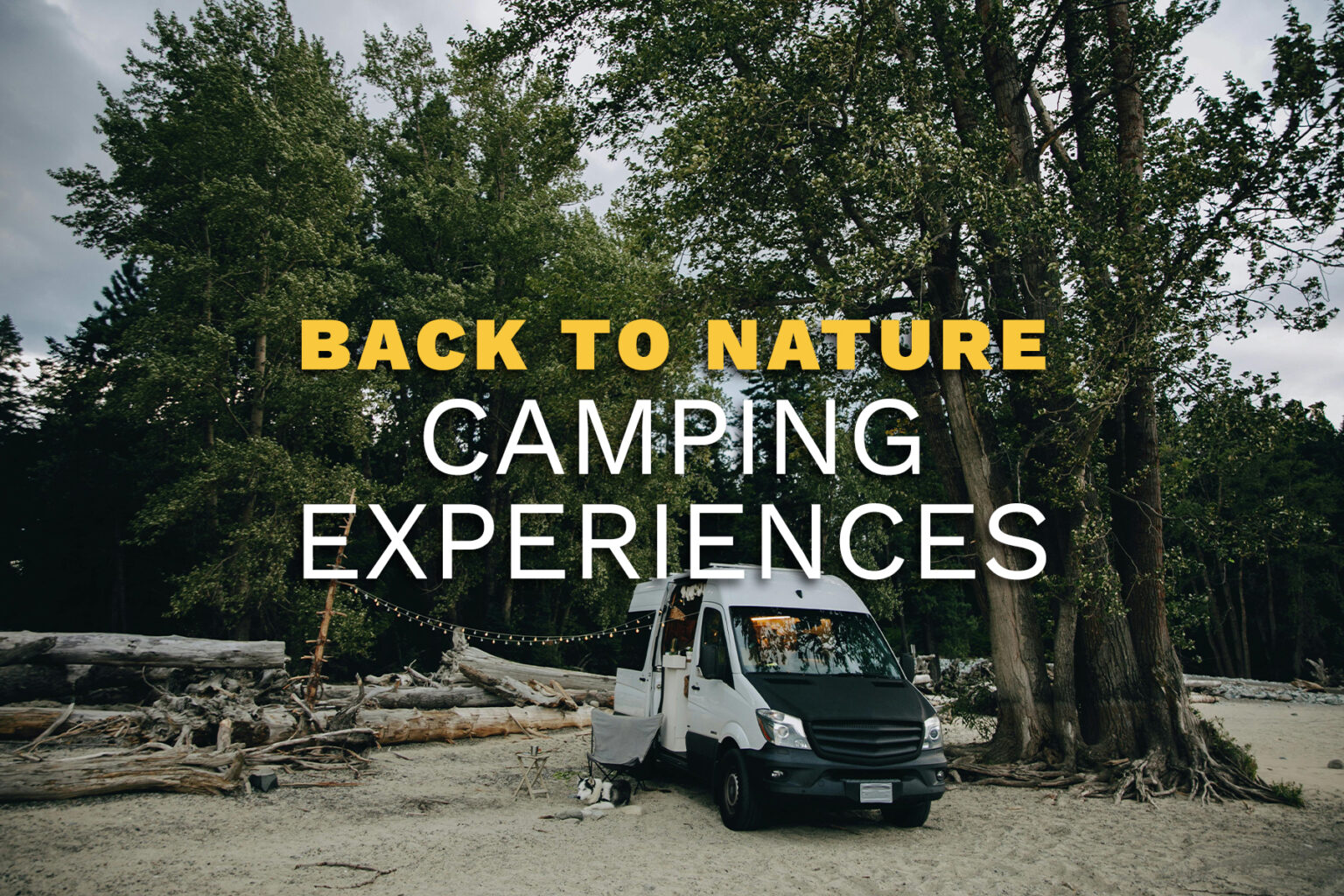 Camping With Nature | RV Experiences | Route 66 RV Network